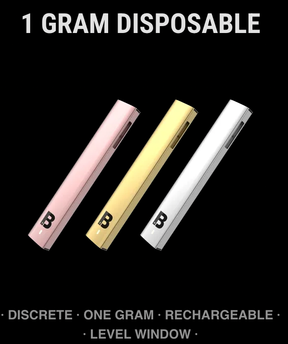 1 GRAM DISPOSABLE – blinkers disposable - blinkercartshop.com